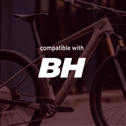 BH – custombikedecal