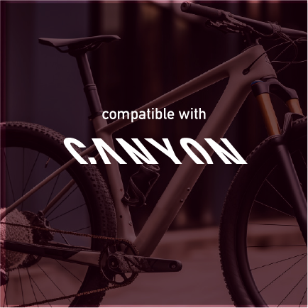 Canyon – custombikedecal
