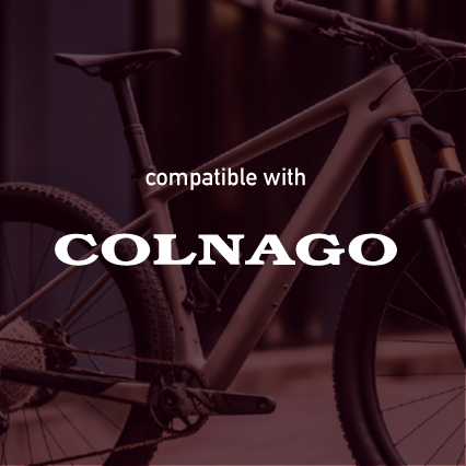 Colnago – custombikedecal