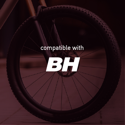 BH Mountain Wheel – custombikedecal