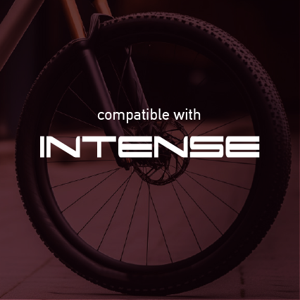 Intense Mountain Wheel – custombikedecal