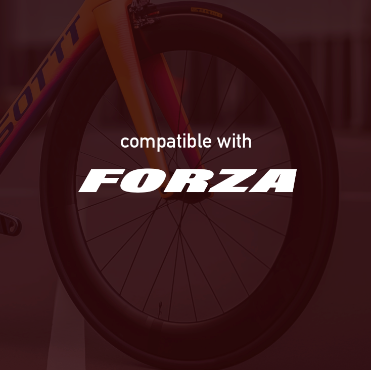 Forza Road Wheel – custombikedecal
